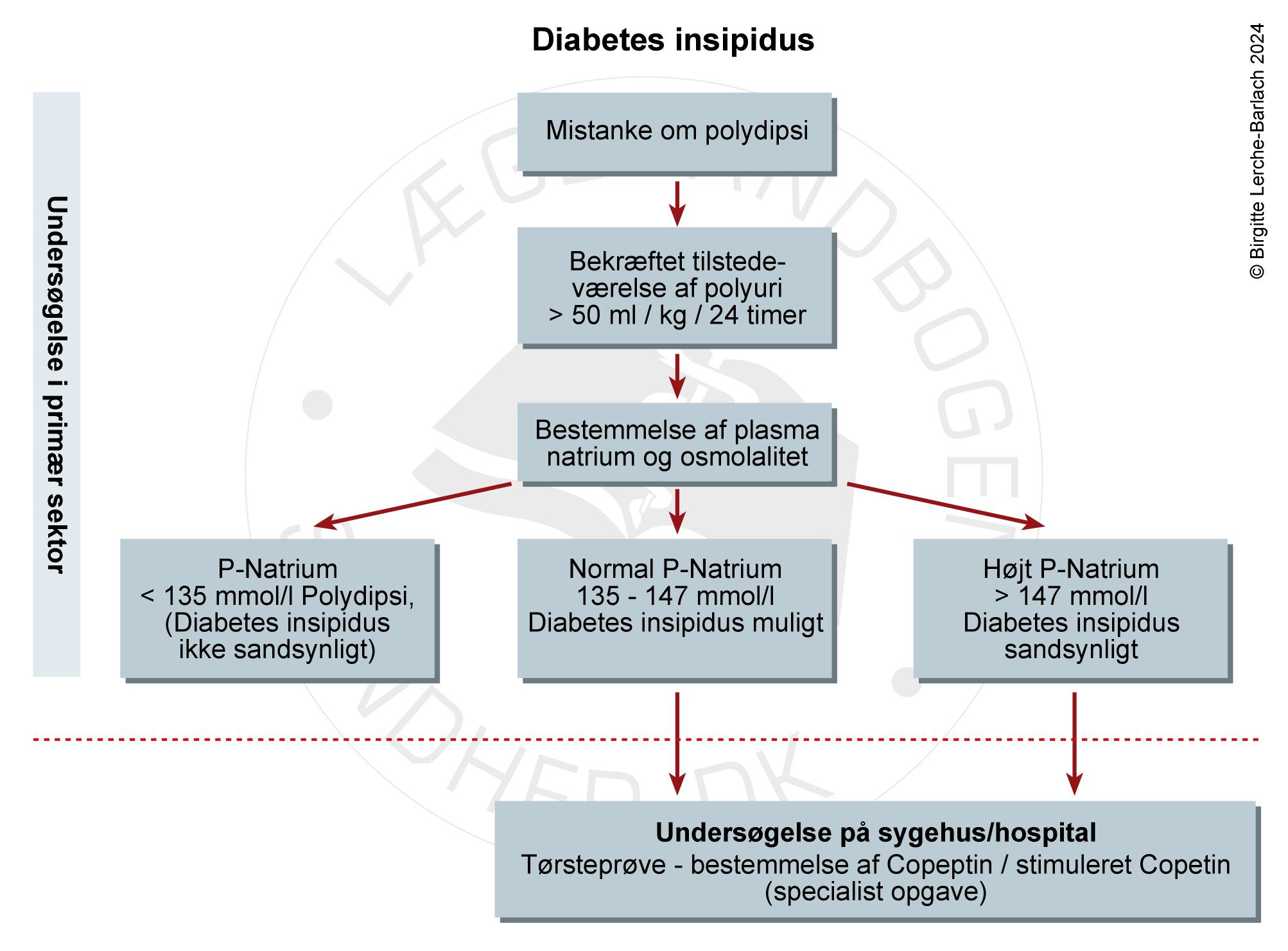 Diabetes insipidus og polydipsi - Lægehåndbogen på sundhed.dk