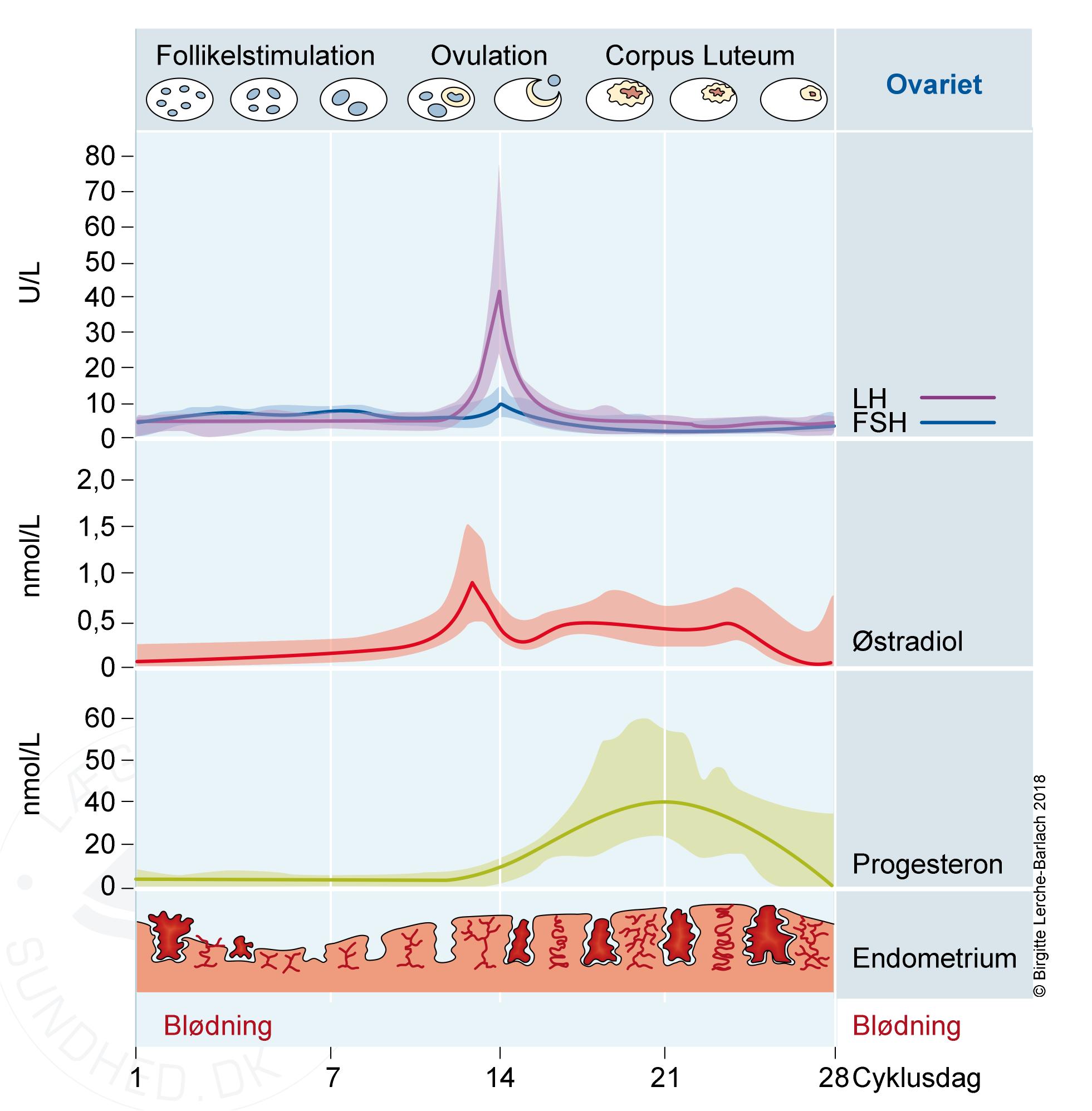 Lutropin - Lægehåndbogen på sundhed.dk