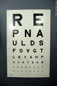 Svagsynethed og blindhed - Patienthåndbogen på sundhed.dk