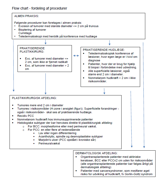 Visitation af nonmelanom hudkræft (BCC og PCC) - sundhed.dk