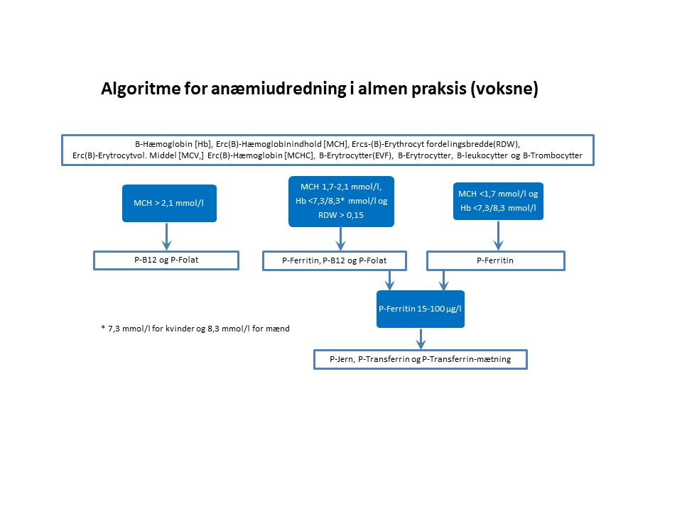 Pt-Anæmiudredning - sundhed.dk