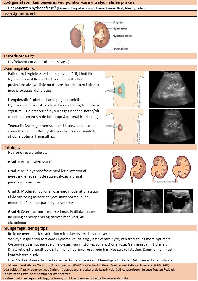 Actioncard hydronefrose - Lægehåndbogen på sundhed.dk