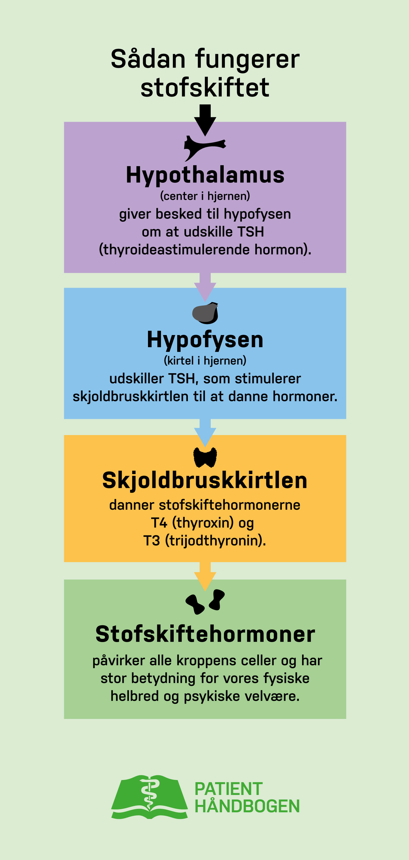 Lavt stofskifte, mistanke - Patienthåndbogen på sundhed.dk